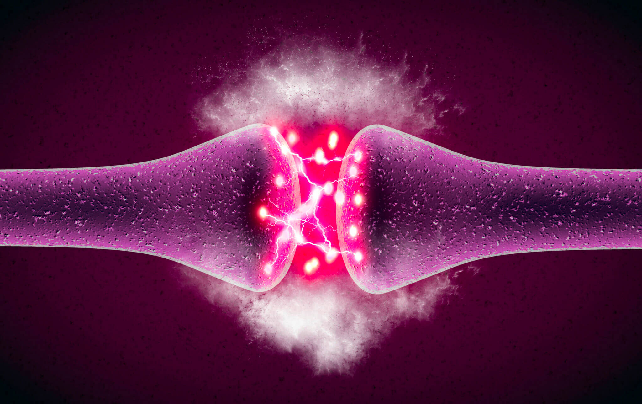 Types de neurotransmetteurs: caractéristiques et fonctions - Muy Salud