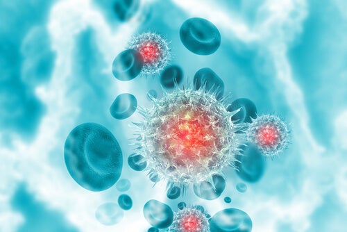 Quelles sont les maladies infectieuses?