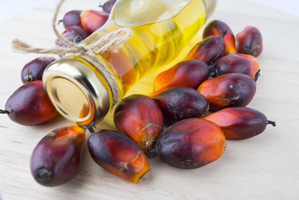 Palm Oil: Why Is It Bad?