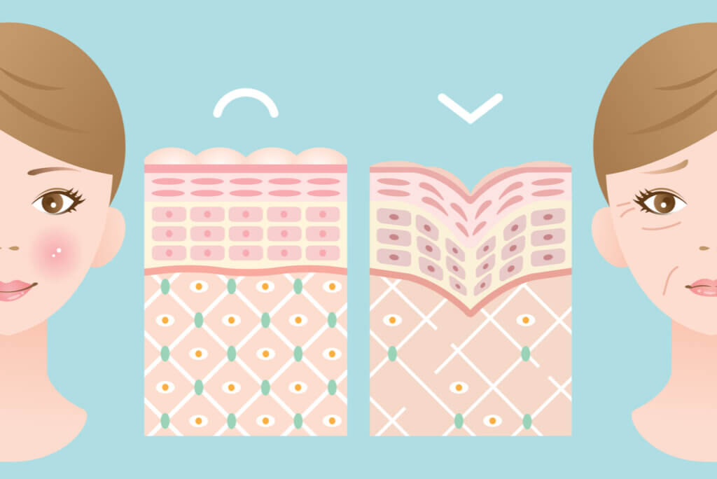 The 5 most important benefits of taking collagen